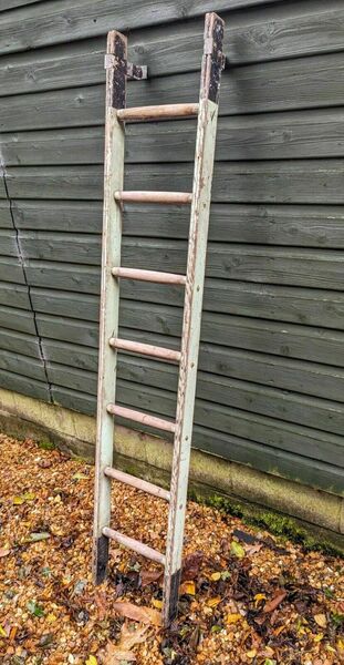 Vintage French Ladder Circa 1950s | Vinterior