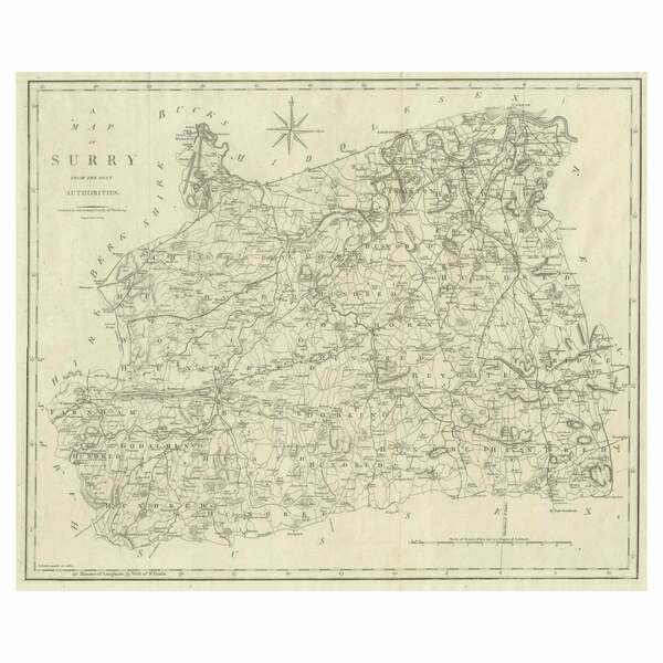 Large Antique County Map Of Surrey, England | John Cary | Vinterior