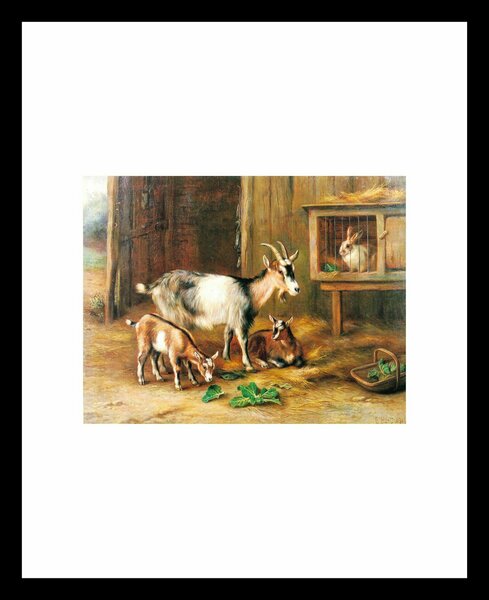 Edgar Hunt Goats By A Rabbit Hutch 1919 Original Tear Sheet Window ...