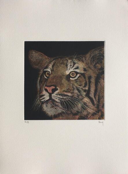 1990s "Tiger" Etching Mezzotint By Henry | Vinterior