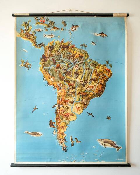 Original Vintage Mid Century German Educational School Wall Chart South ...