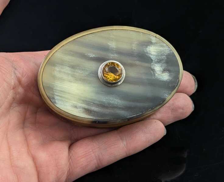 Antique Scottish Cattle Horn Snuff Box | Vinterior