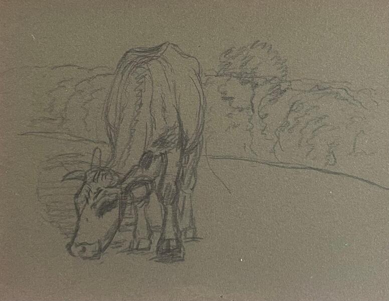 John Rabone Harveybritish Chalk Pencil Sketch Of A Cow Munching Grass ...