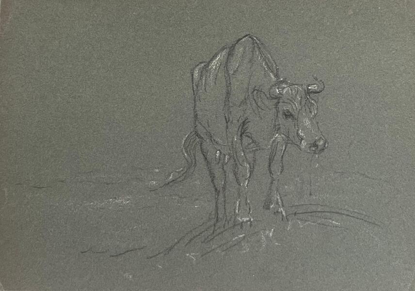 John Rabone Harveybritish Chalk Pencil Sketch Of A Cow Climbing The ...