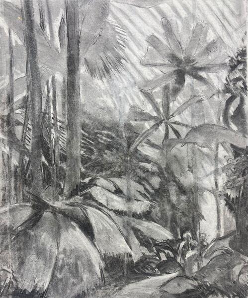 French Schoolmonochromatic Jungle Scene In Charcoal Mystery Of Tropical ...