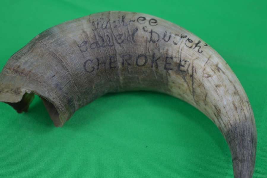 Horn Scrimshaw Native American Cherokee Interest, C1810 | Vinterior